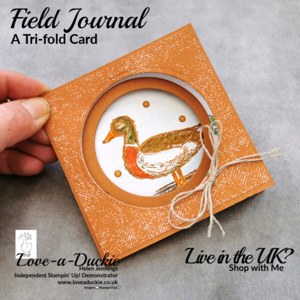 Tri-Fold Aperture Card - Love A Duckie