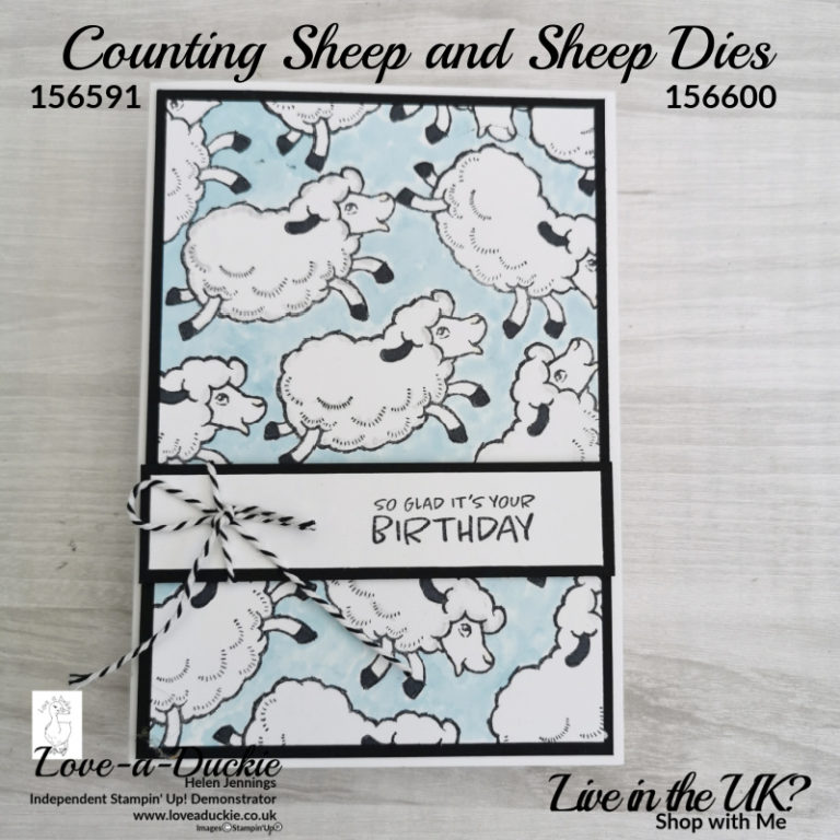 Fun cards with the Counting Sheep Stamp Set - Love A Duckie