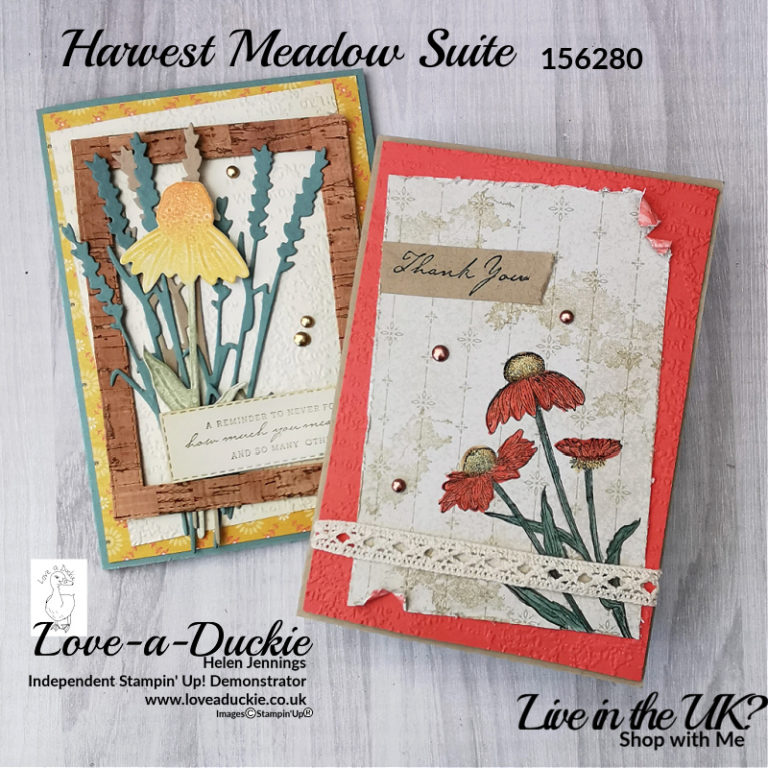 Harvest Themed Cards - Love A Duckie