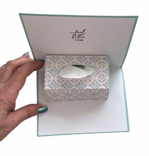 Pop Up Tissue Box - Love A Duckie