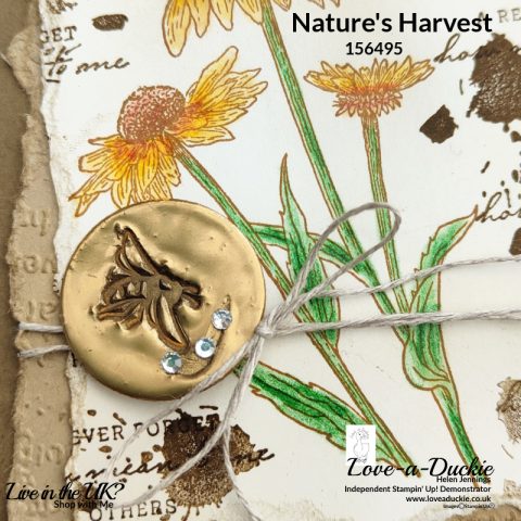 Using Triple Heat Embossing - Love A Duckie