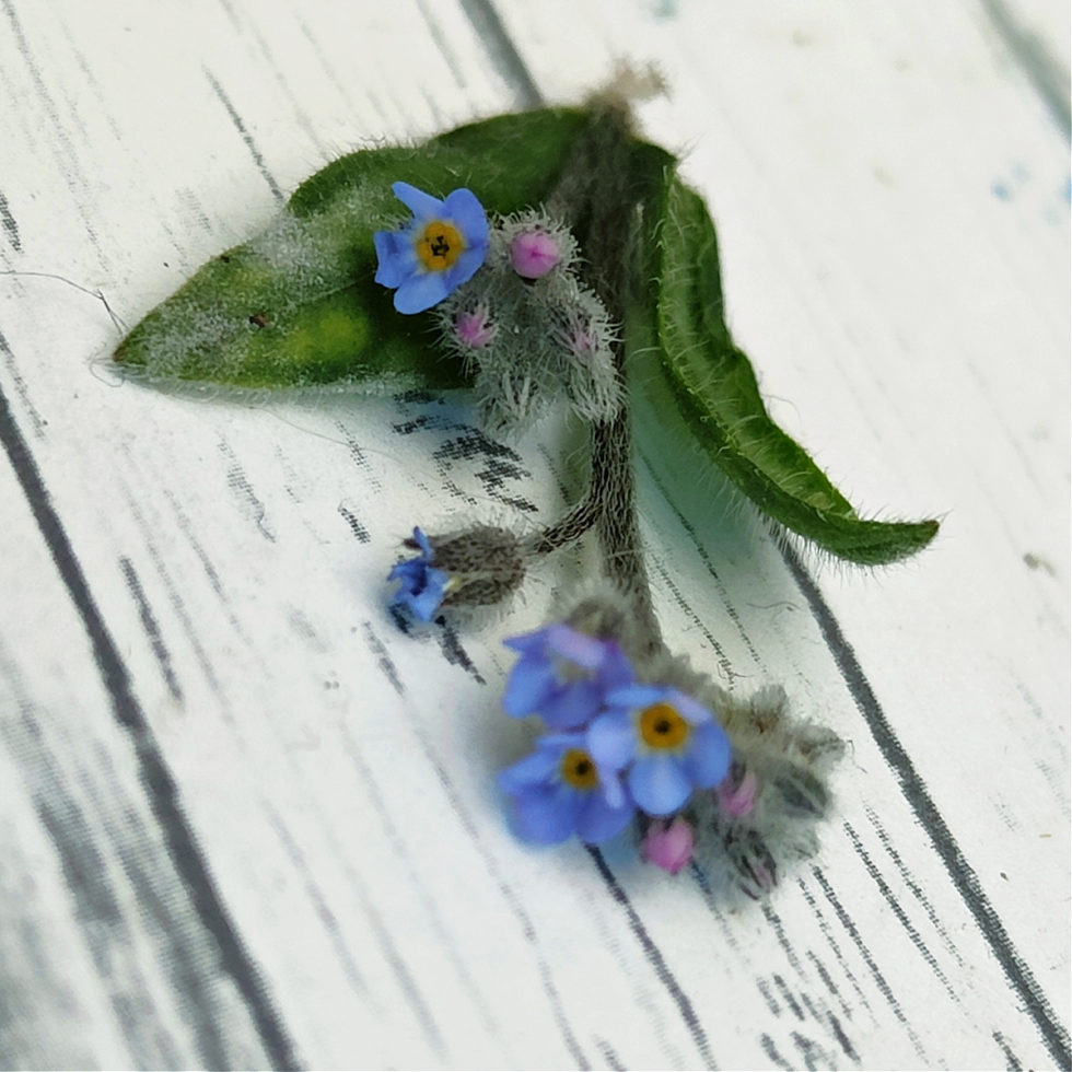 Creating An Emboss Resist Background - Love A Duckie