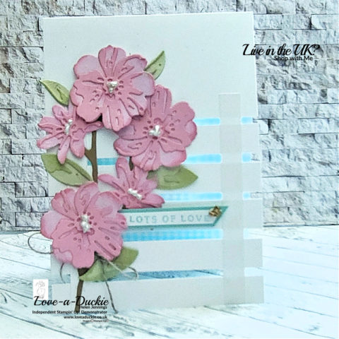 Delightful Lattice Split Card - Love A Duckie
